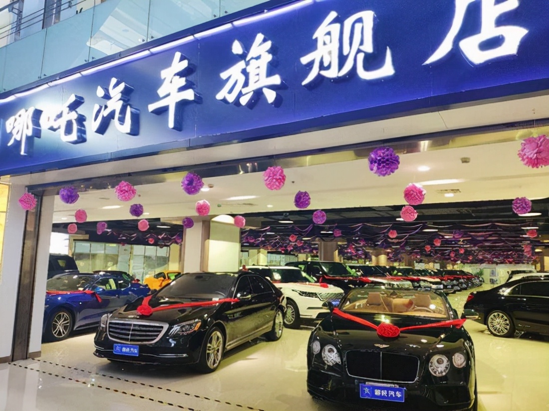 21 Toyota Alpha, what makes a "nanny car" into a mobile luxury cabin ...