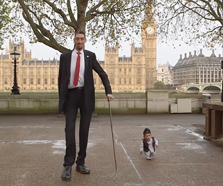 The strange knowledge has increased, 50 civil wording and fun cold ...