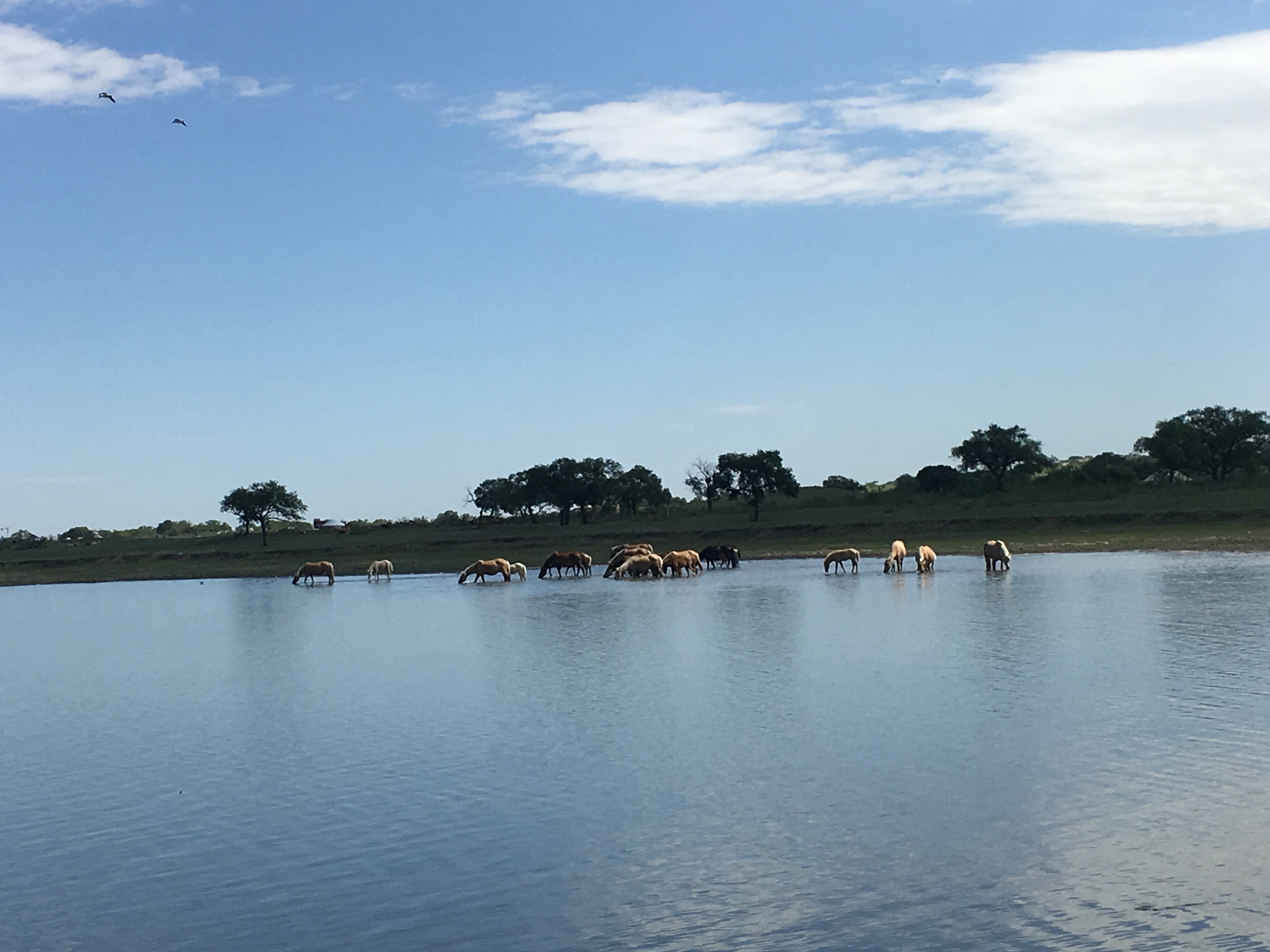 Yuan Shangdu Ruins - iNEWS