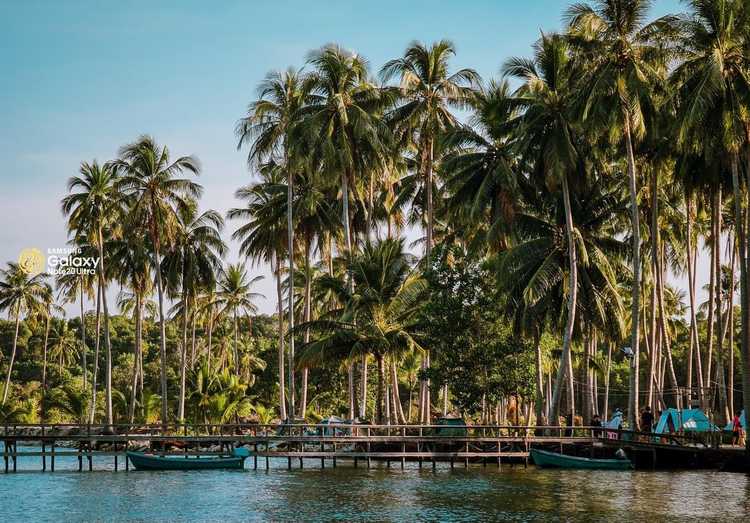 The sunset in Cambodia, the birds go home...this island has all the ...