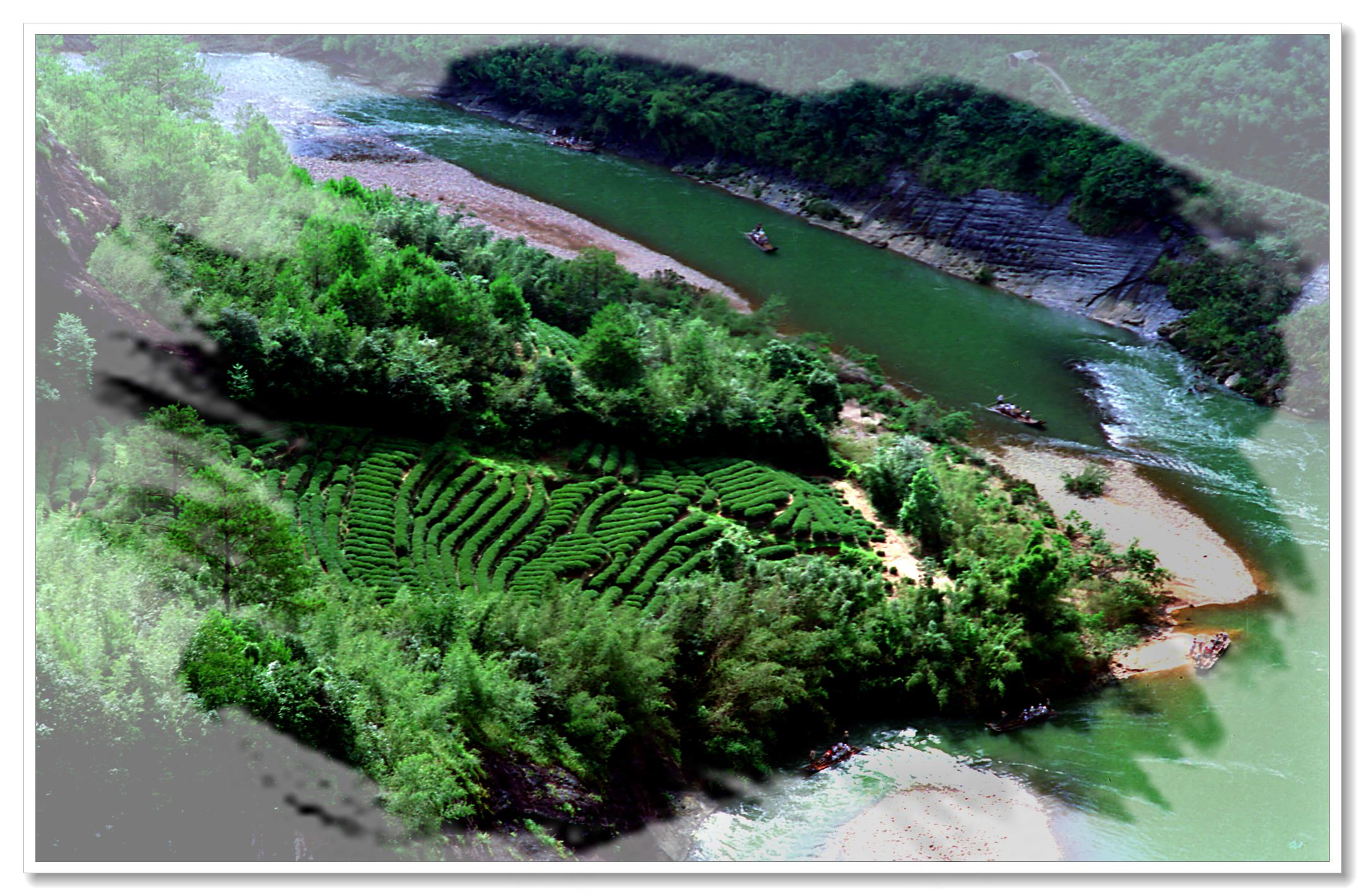 The light and shadow keep the truth-Wuyishan•Wuyi tea wonders the world ...