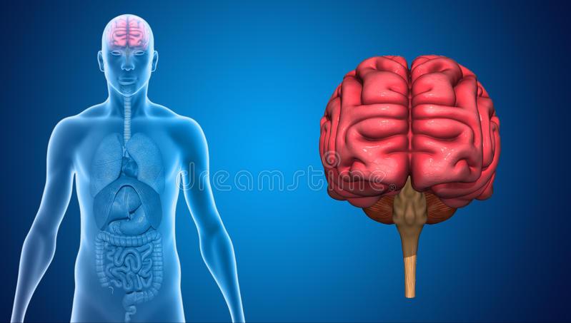 "Super Body" come true?What will happen if humans fully develop their ...