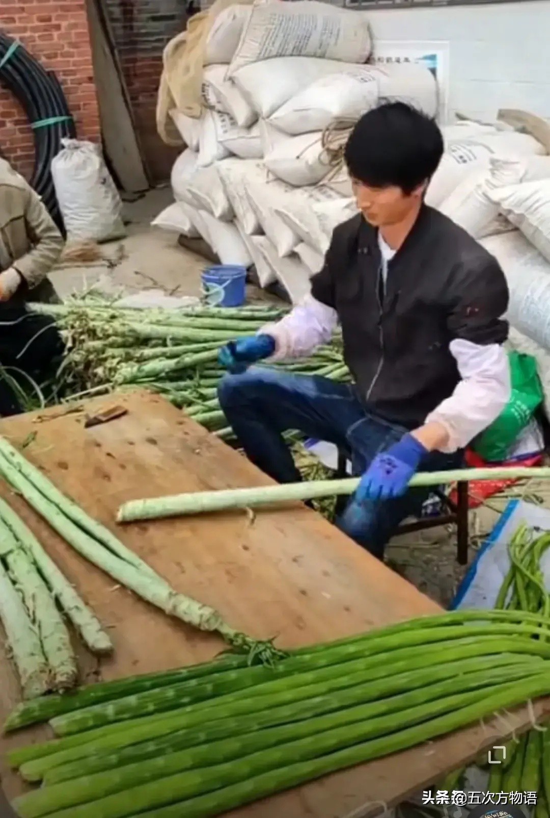 Thousands of words, "Gong Cai" is also lettuce - iNEWS