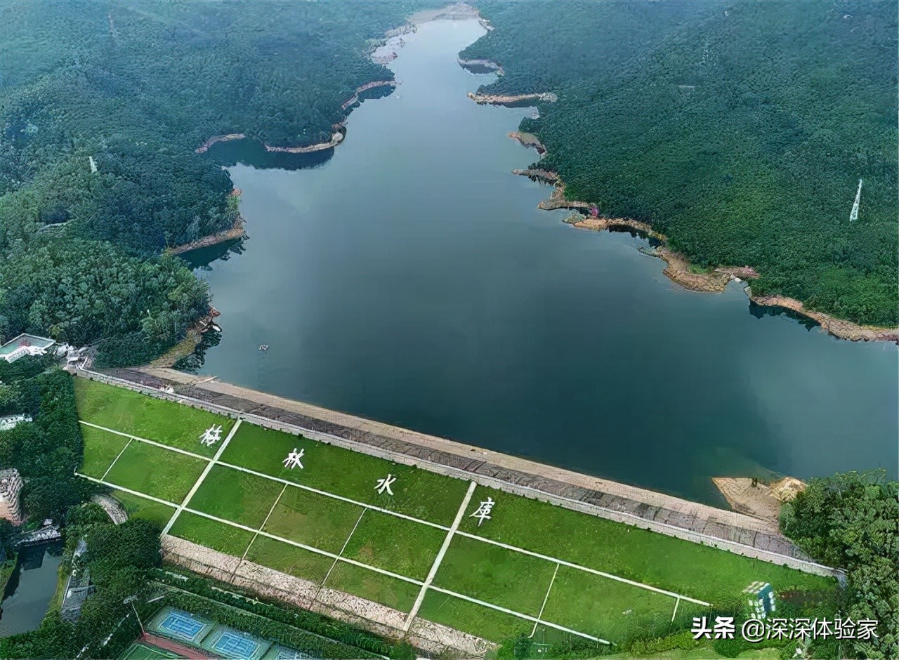 What is the most tolerant place in Shenzhen?Meilin Reservoir - iNEWS
