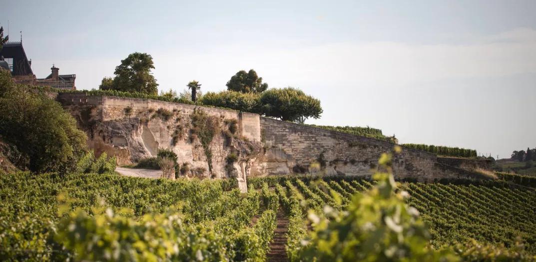 "Famous Chateau on the Right Bank of Bordeaux" Osson: Wine of a genius ...