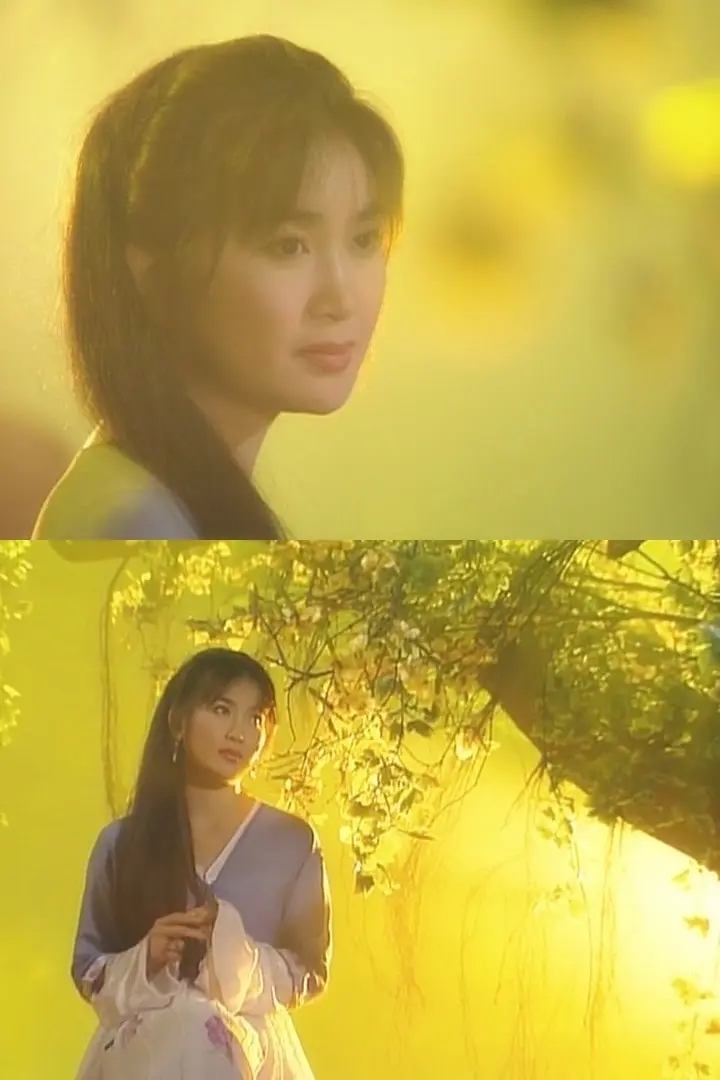 Meteor in the sky and Wangyou Island - iNEWS