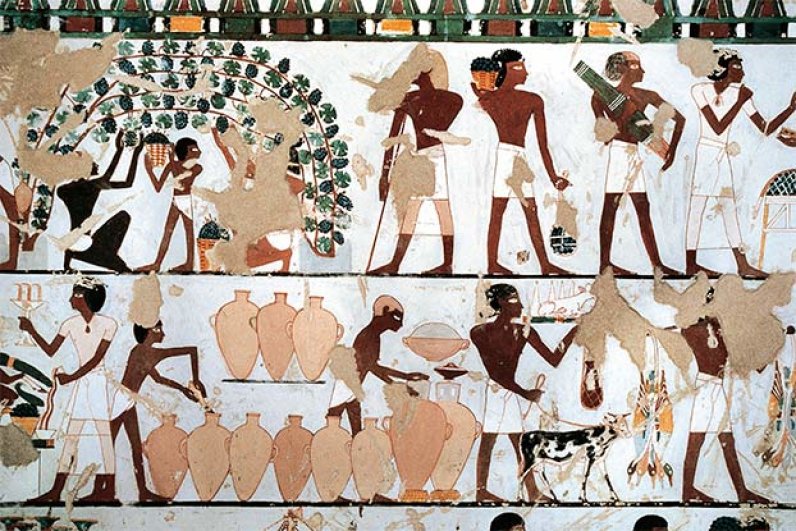 Uncovering the culinary codes of ancient Egypt: the ancient Egyptians ...