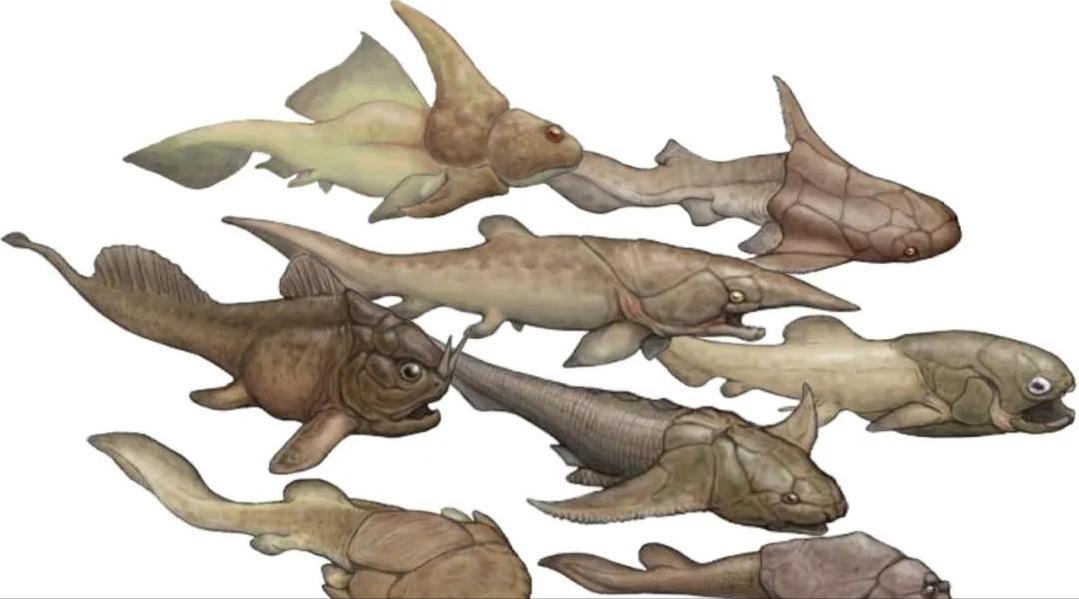 Deng's fish: A slug, under the siege of the strange shrimp, sea ...