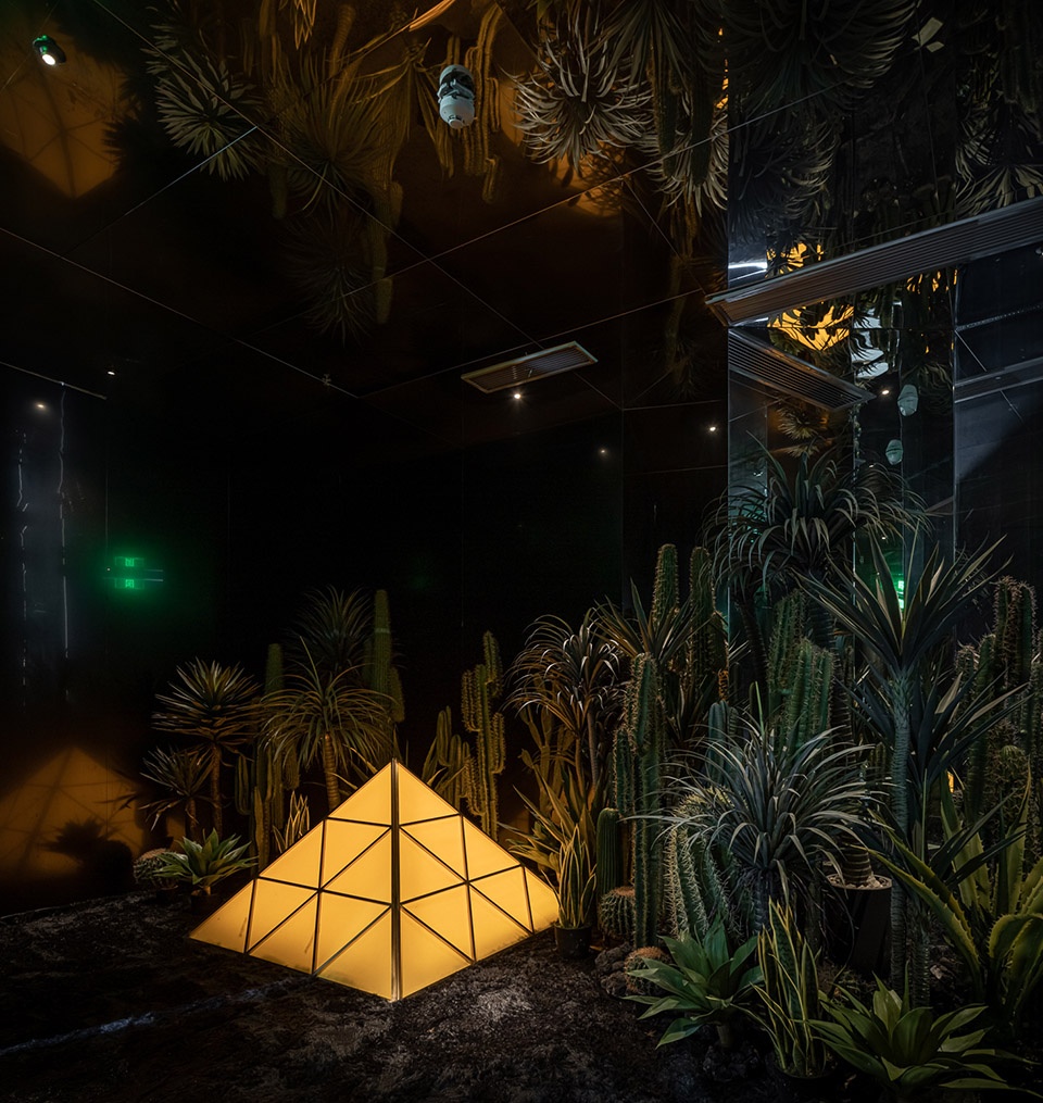 PLUTO BAR: Prepare a night of exquisite wine dream trip - iNEWS