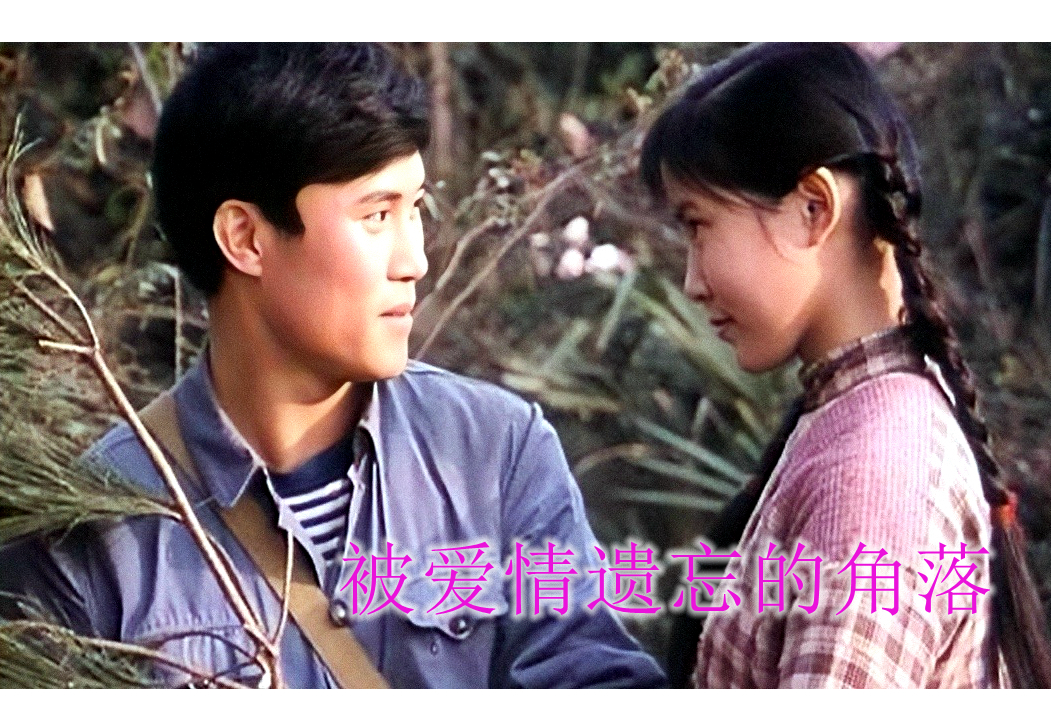 He starred in "A Corner Forgotten by Love", and partnered with Shen ...