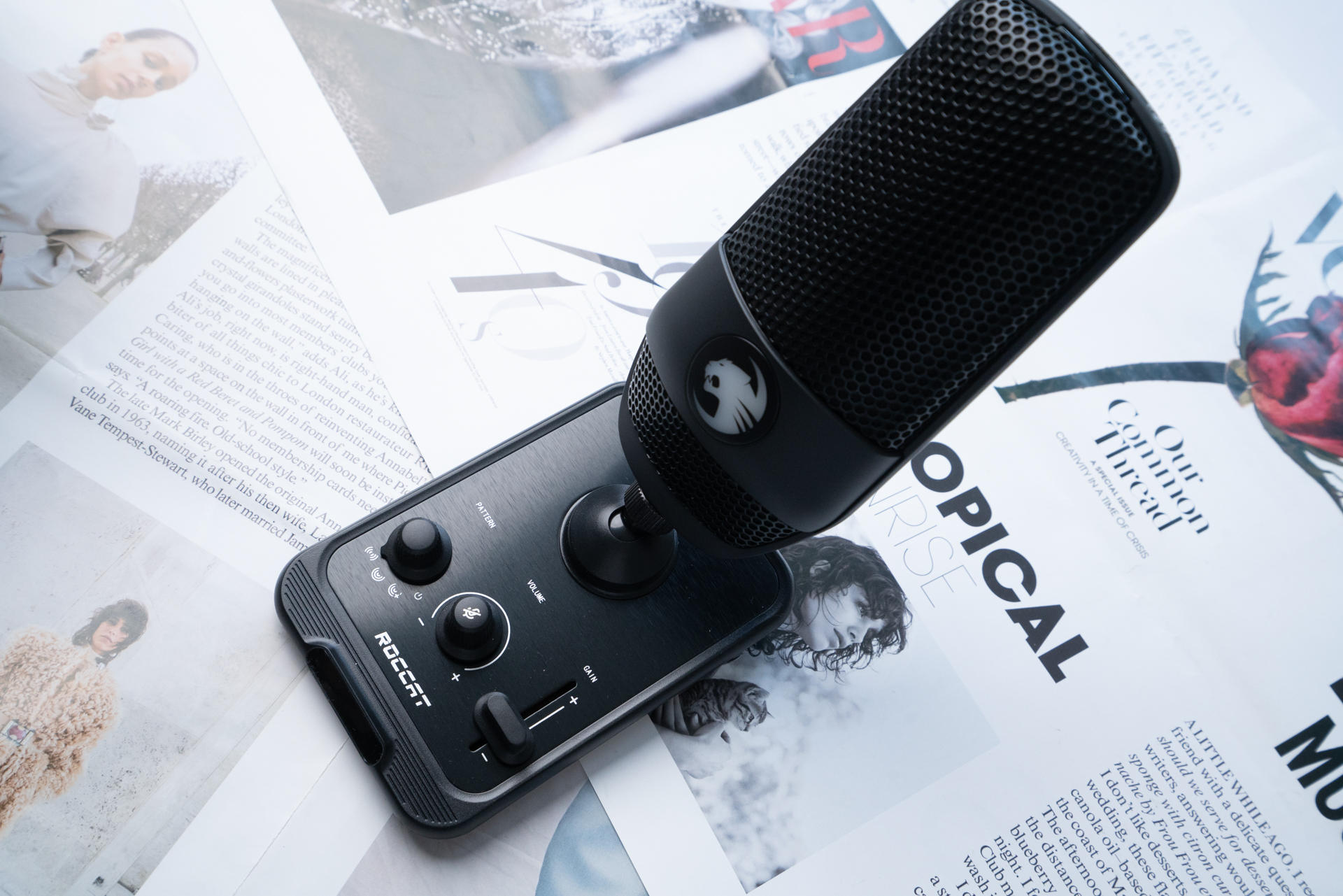 Everyone wants to be from the media era, you need a microphone!Ice ...