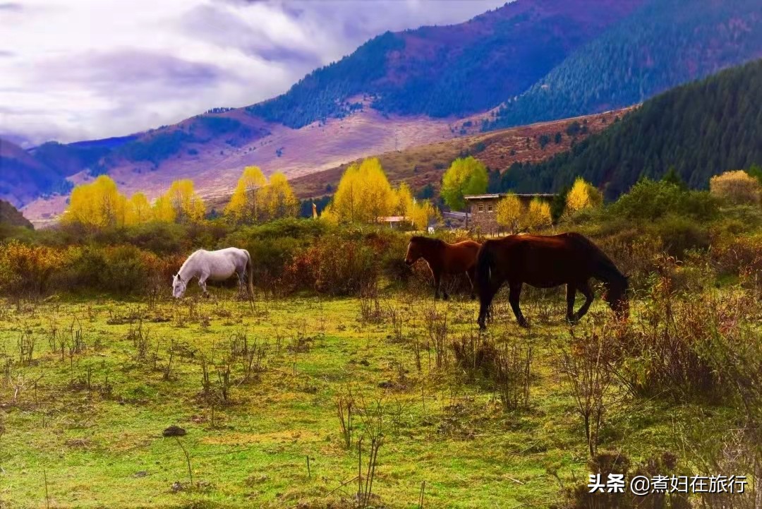 Rangtang Loop Line: This unpopular line in western Sichuan has ...
