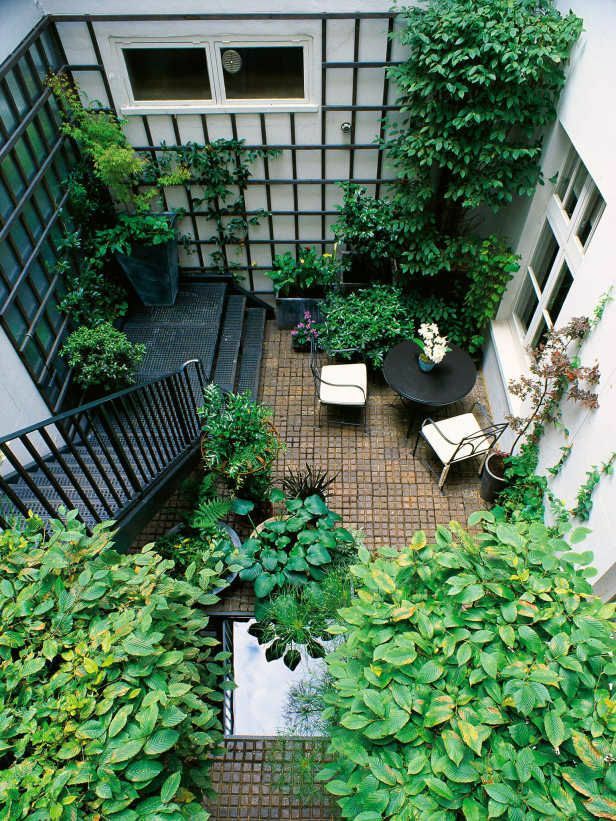 When I buy a house, I must leave 10 square meters in the courtyard to ...