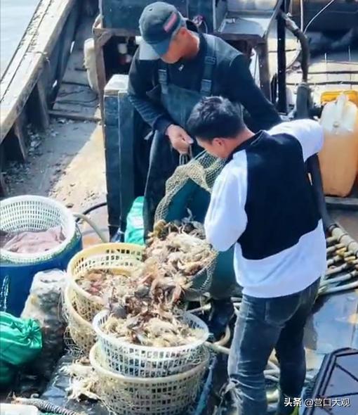 Yingkou is open to the sea, eat delicious seafood - iNEWS