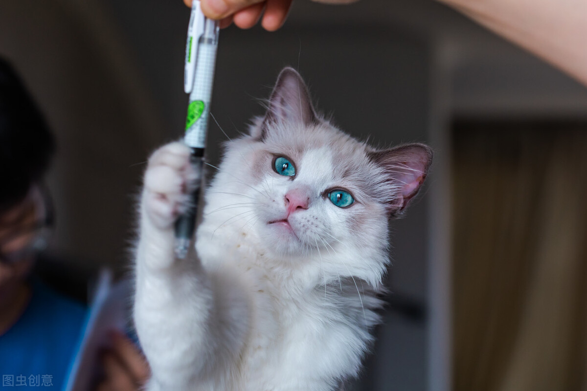 Xie Wensong: Schrödinger's cat is driven by simultaneity-parallel ...