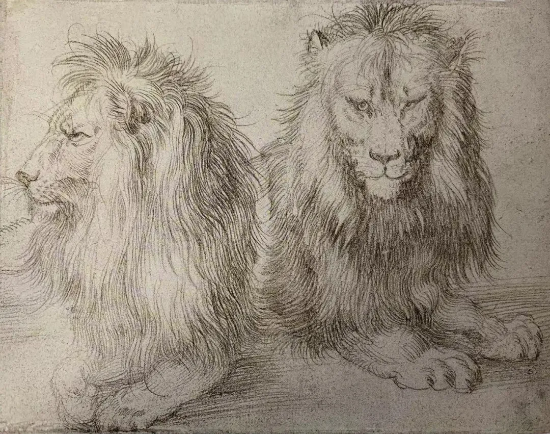 Master Classic Animals (3) Albrecht Durer - iNEWS