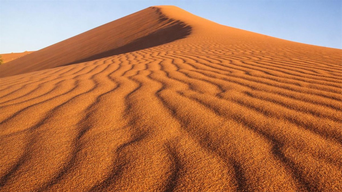 It consumes 59 billion tons of sand every year, and the earth is in ...