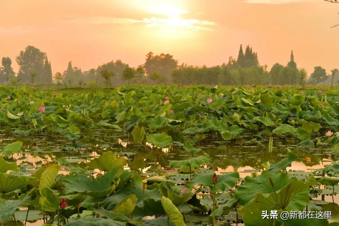 I heard that "Xia Yuhe" is beautiful? - iNEWS