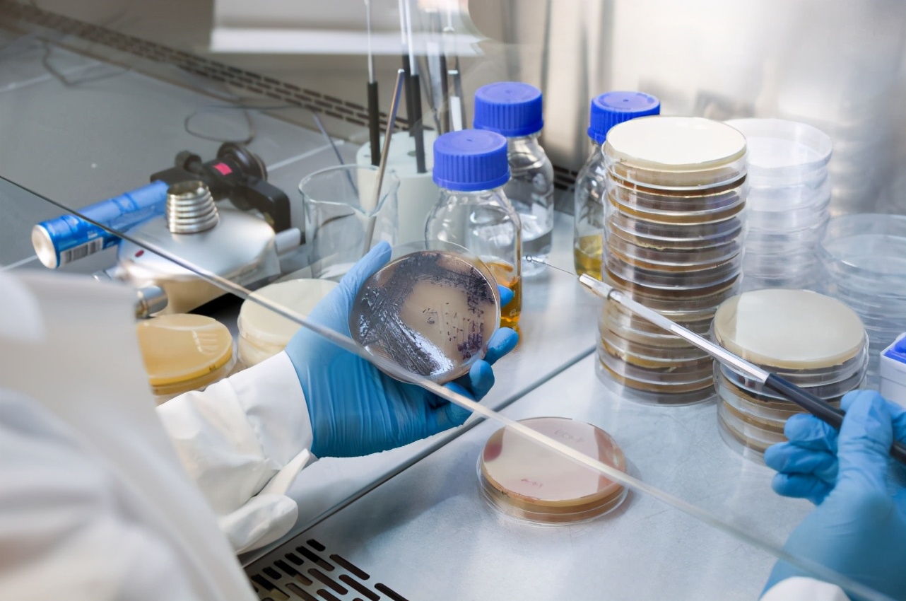 The laboratory virus was suddenly stolen!Can cause large-scale and ...