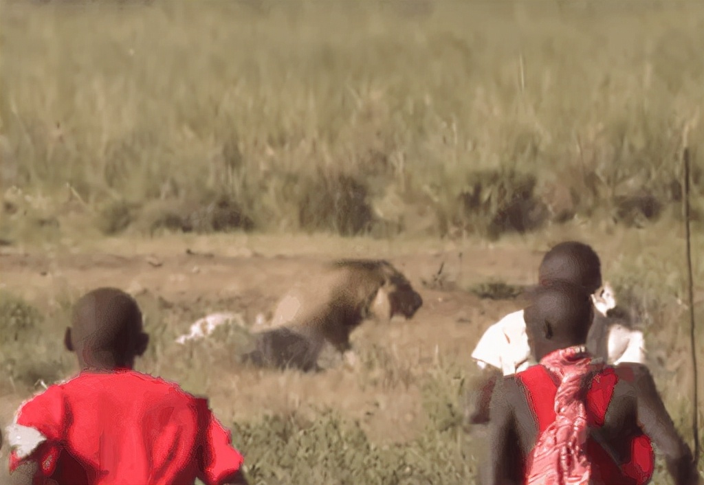 Are humans really weak compared to large wild animals?Humans have also ...