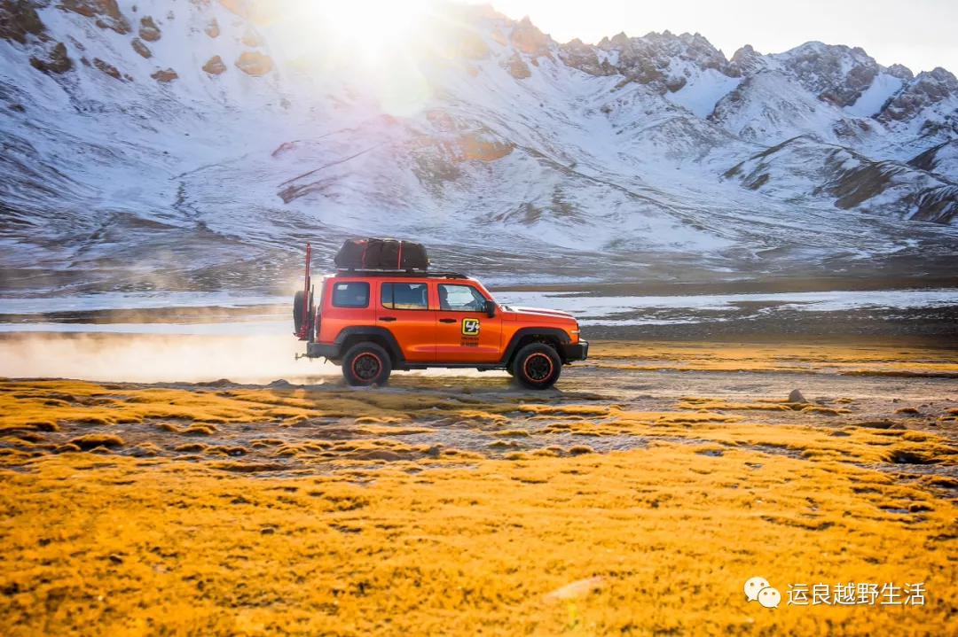 Rising star-Tank 300 modification case released - iNEWS