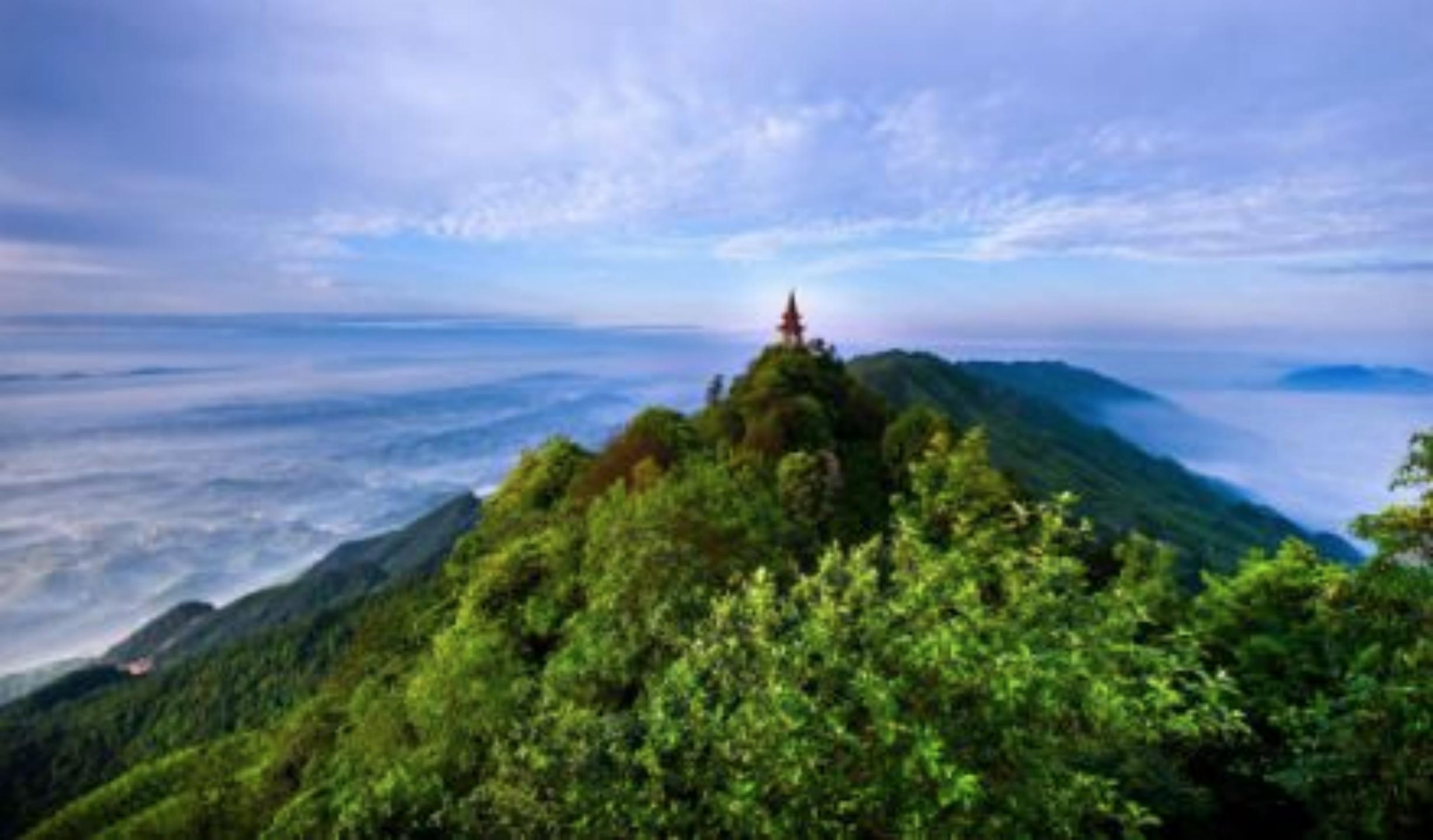 Chashan Bamboo Sea, a neglected 4A National Forest Park - iNEWS