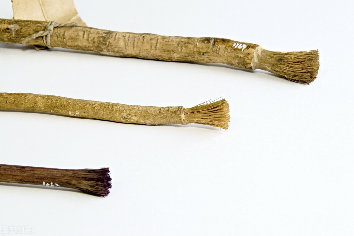 Fun popular science: the history of toothbrush - iNEWS
