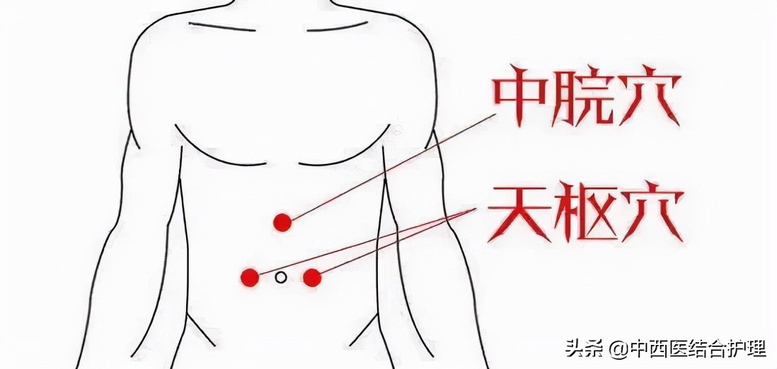 "Acupoint Knowledge" Basic knowledge of acupuncture points of the human ...