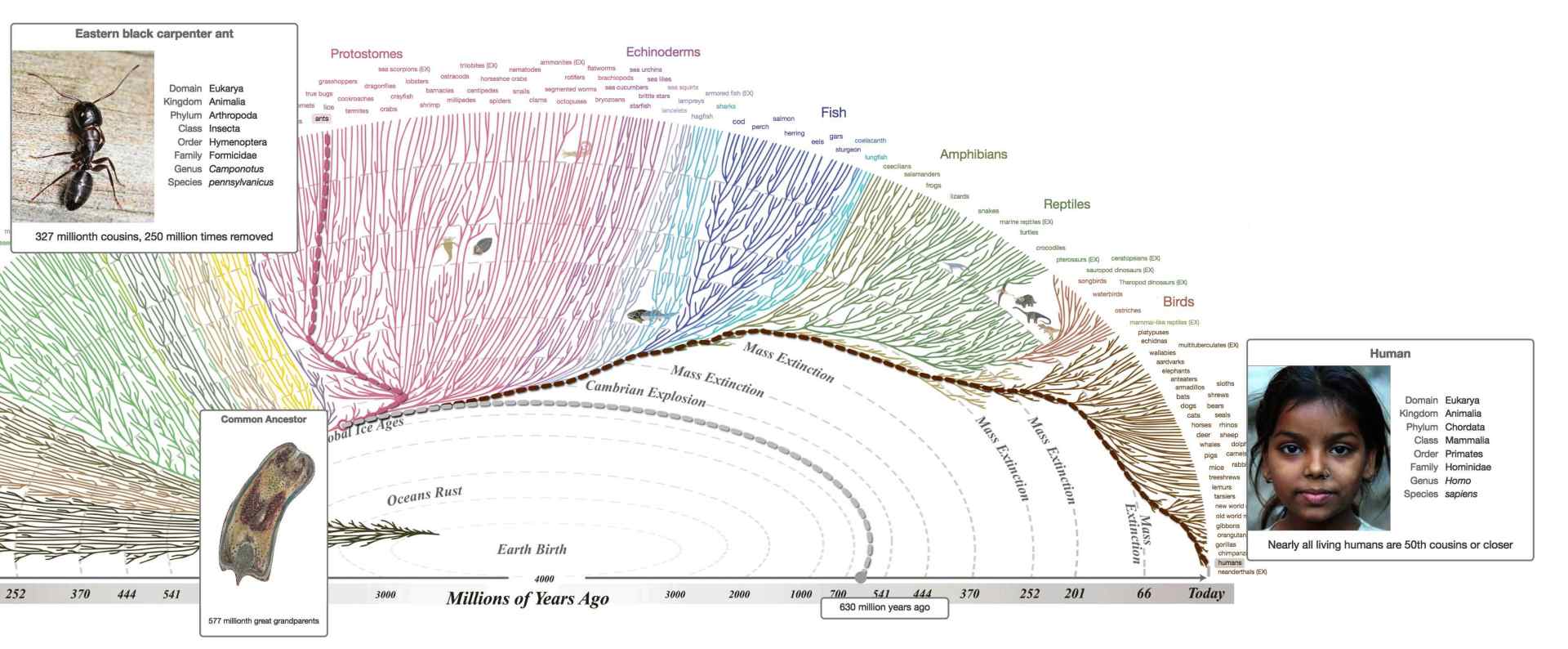 3.9 billion years ago, a heavy rain that lasted for thousands of years ...
