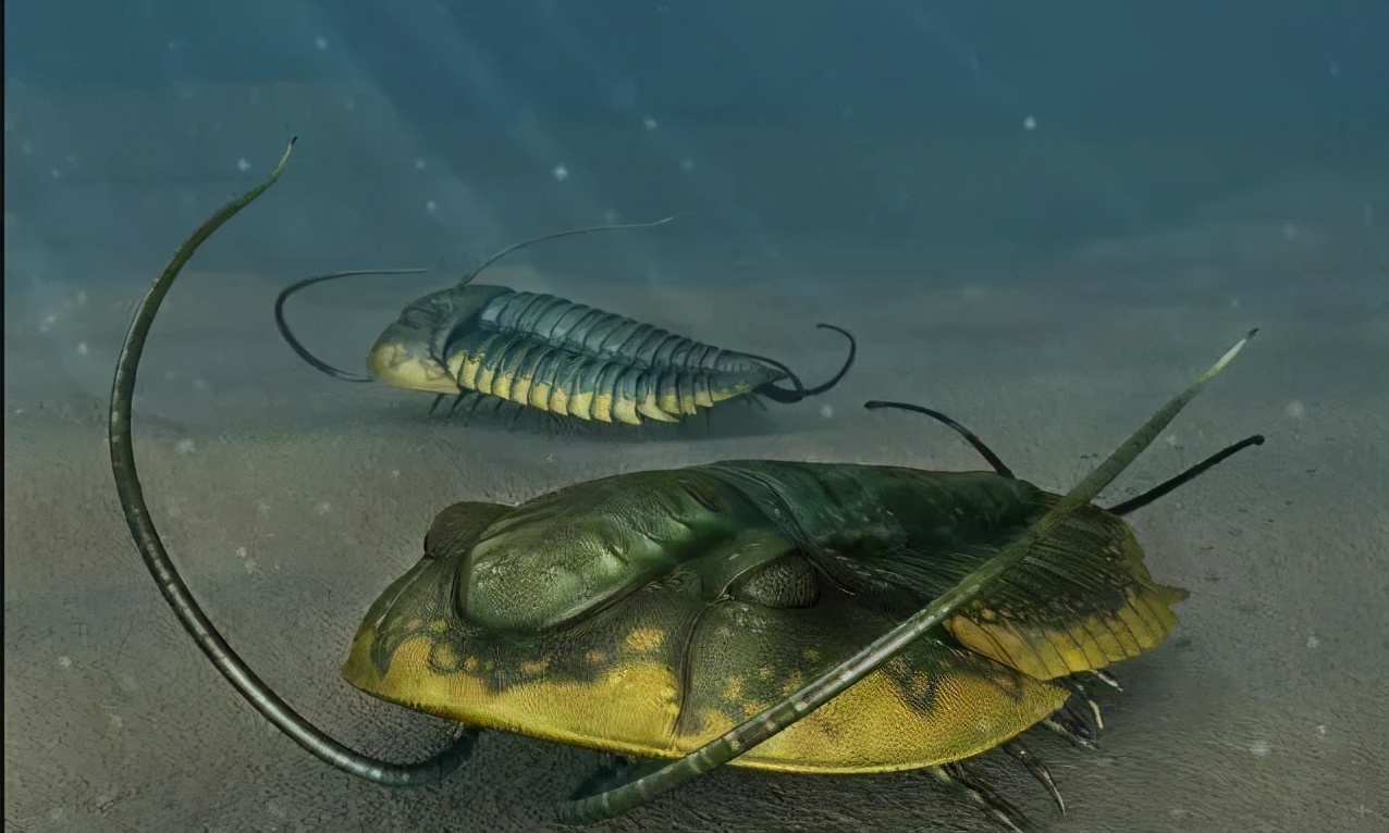 From ocean to land, a brief history of biological evolution - iNEWS