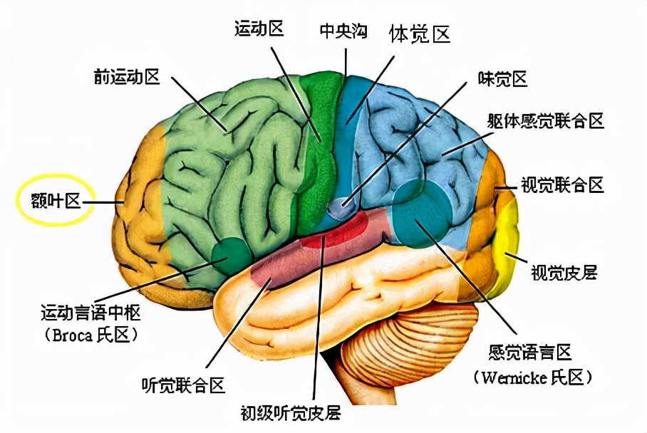 Scientists have discovered the real existence of the sixth sense, and ...