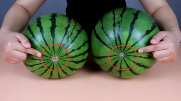 Watermelons are also divided into "male and female"?Female watermelon ...