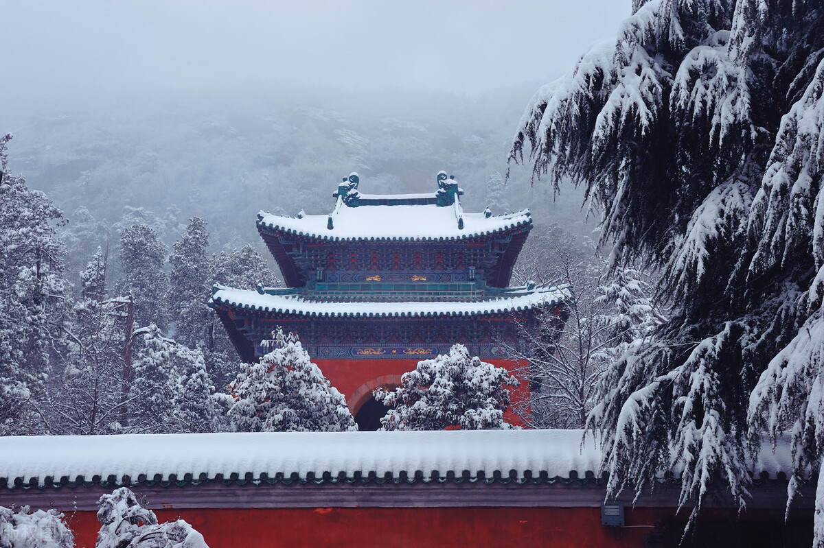 Lu Dongbin is called the Patriarch of Pure Yang because of it, and ...