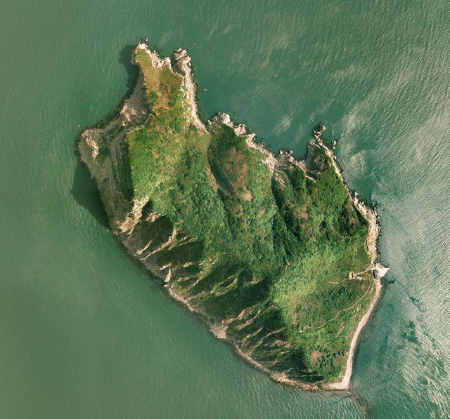 Why are there so many venomous snakes in Dalian Snake Island?More than ...