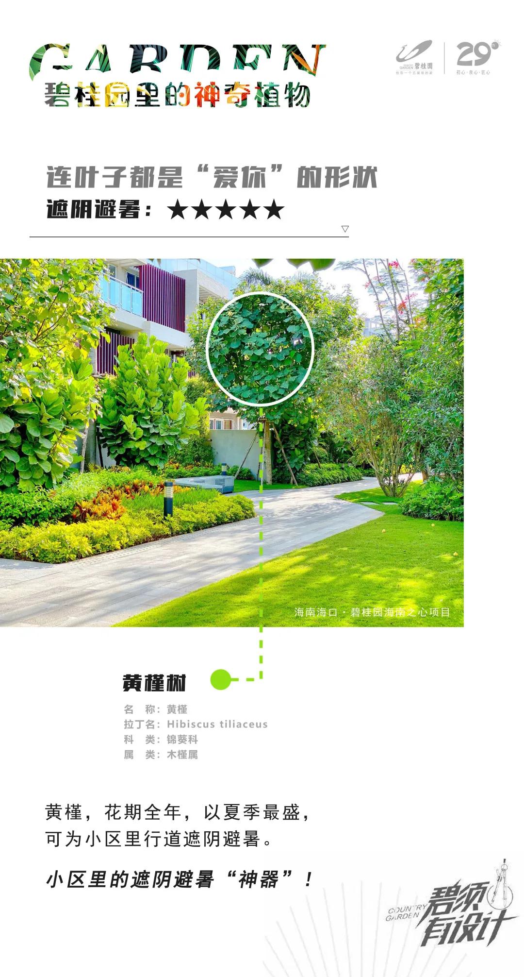 Looking at the magical plants in Country Garden, weird and strange ...