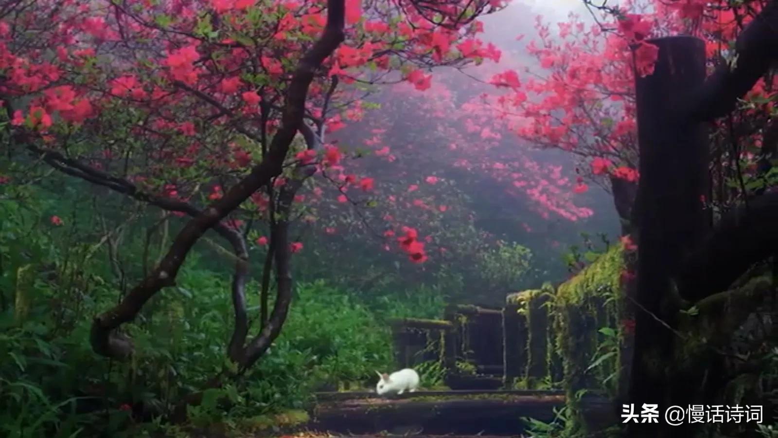 Jiang Kui made his own song "Dark Fragrance" and "Shuying" to Fan ...