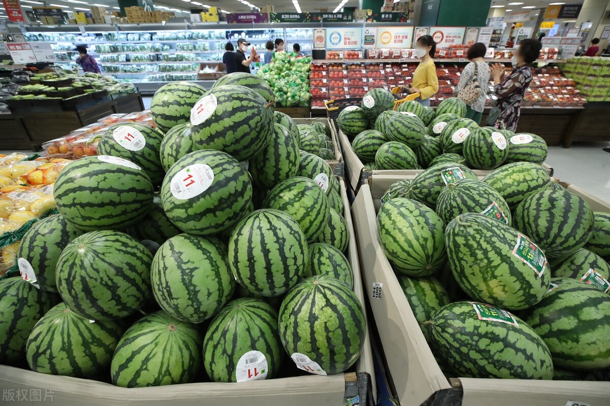 Ordinary Mongolians can't afford watermelons, they cross the border to ...
