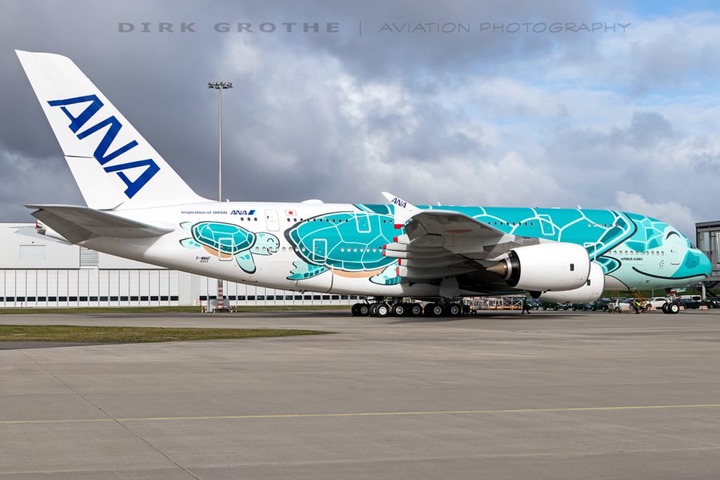 Magic!Turtles appeared on the runway, stopped the ANA Turtle-painted ...