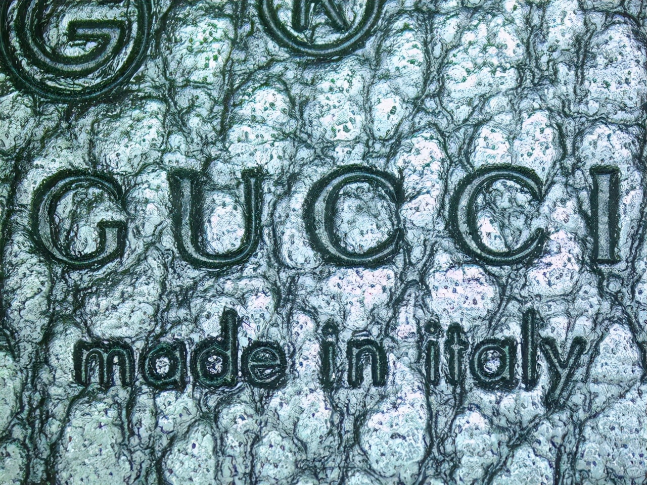 Gucci Gucci font identification science - iNEWS