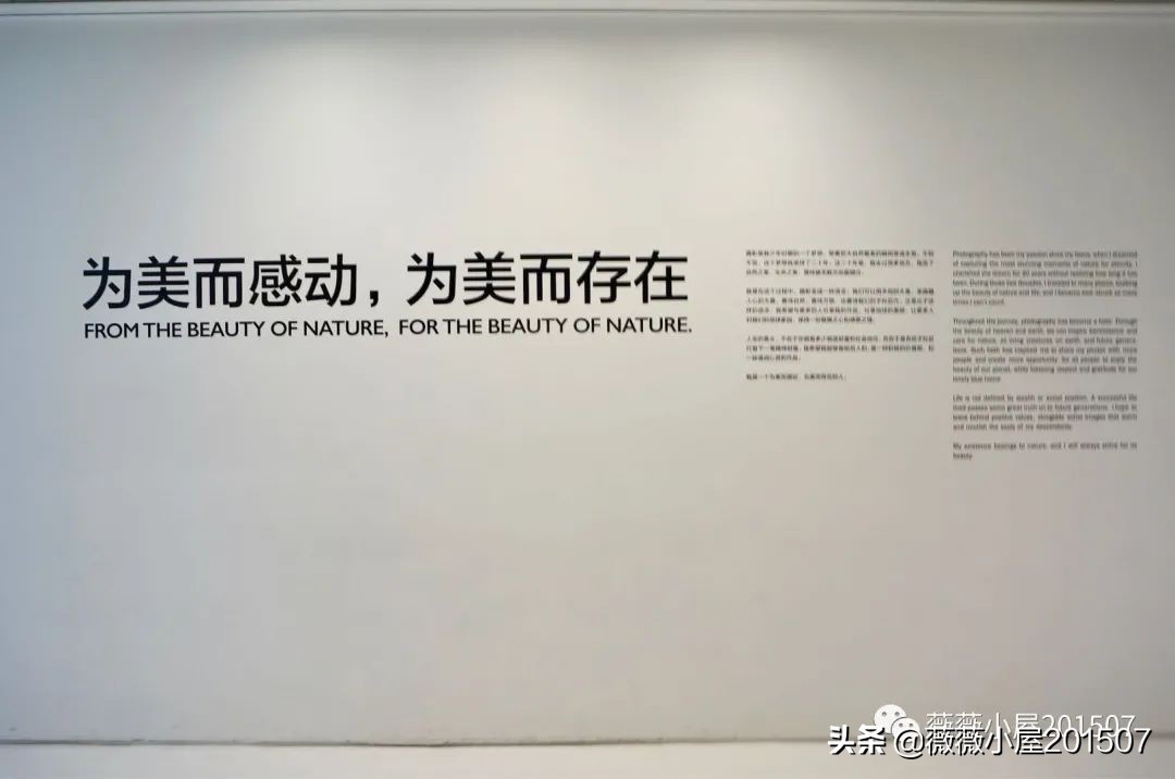 Luo Hong Photographic Art Museum - iNEWS