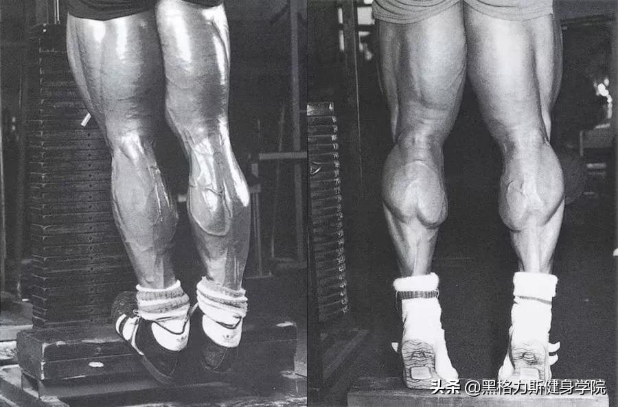Is diamond calf too rare? In addition to being difficult to train, it ...