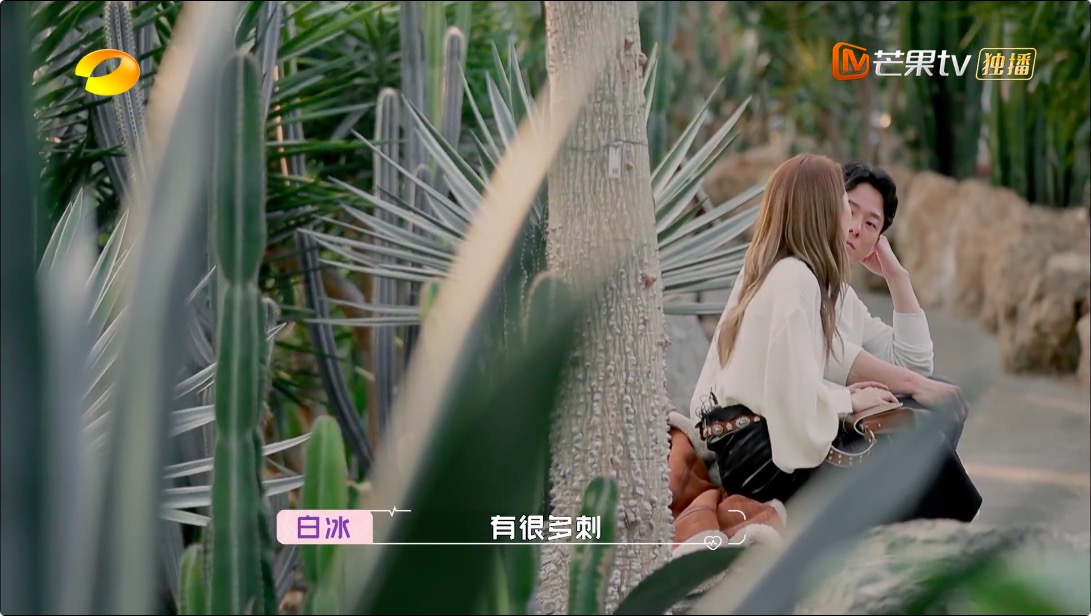 Li Yuantao is crazy about drinking and apologizes for 502 roses, Bai Bing: I'm too good - iNEWS