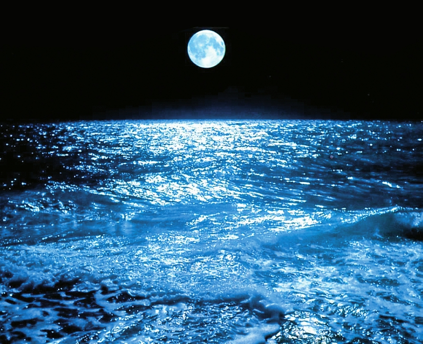 Operation "Zipper"-Operation "Tide": A mixture of justice and greed by ...