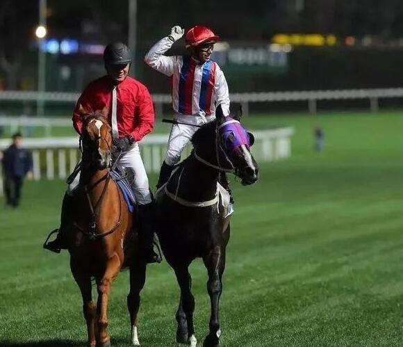 Infathest boat Wang Xu Xun: The horse racing billion in 70 years, Zeng ...