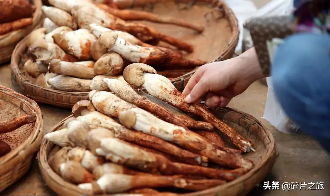 In the matter of eating mushrooms, Yunnan people always stand at the ...