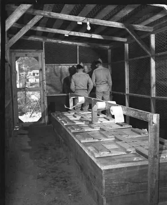 It's really not scary, shit and piss is also a major issue in the ...