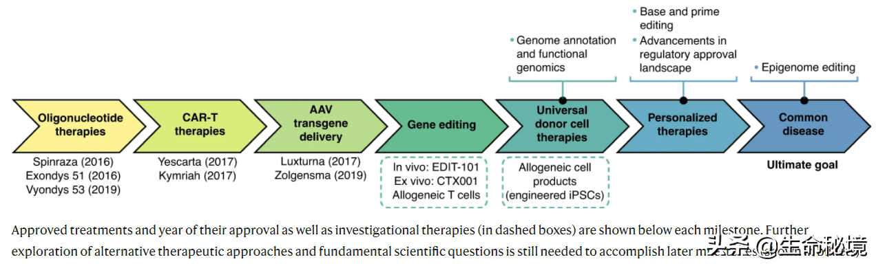 2020 summary of gene therapy - iNEWS