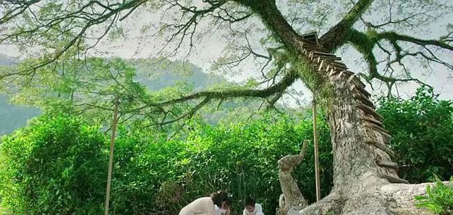 Gu Worm VS Mysterious Witchcraft, this horror movie is coming - iNEWS