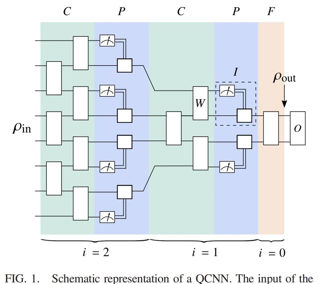 The "barren plateau" phenomenon in the quantum convolutional network is ...