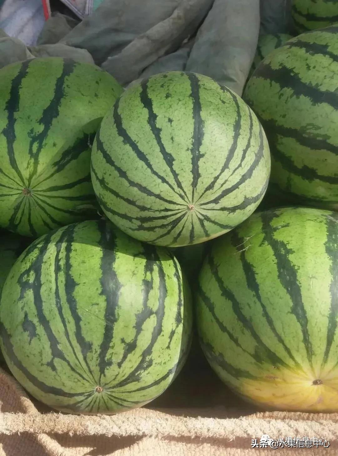 A map of Chinese people eating watermelon (2021 version) - iNEWS